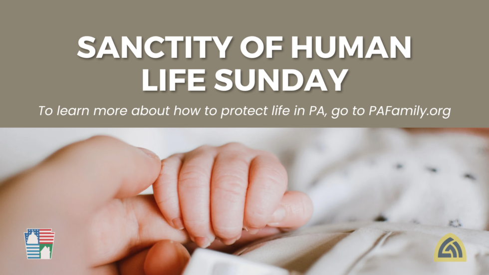 Church Toolkit: 2025 Sanctity of Human Life Sunday - PA Family